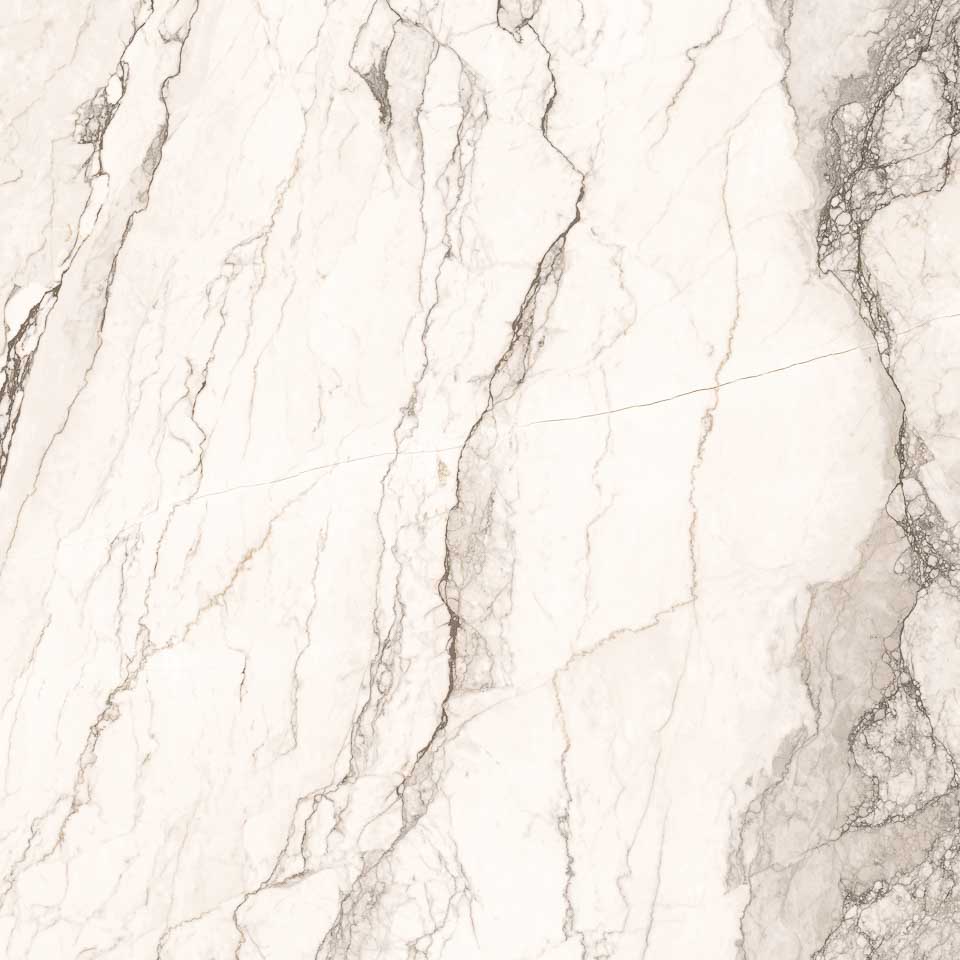 Omnia - Camouflage 60x60 Matt | Cerdomus